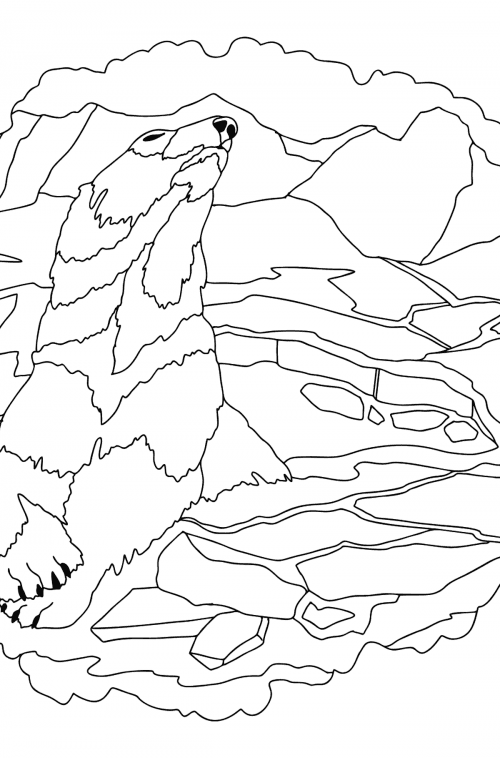 Mewarnai gambar Beruang untuk orang dewasa - Online dan Cetak