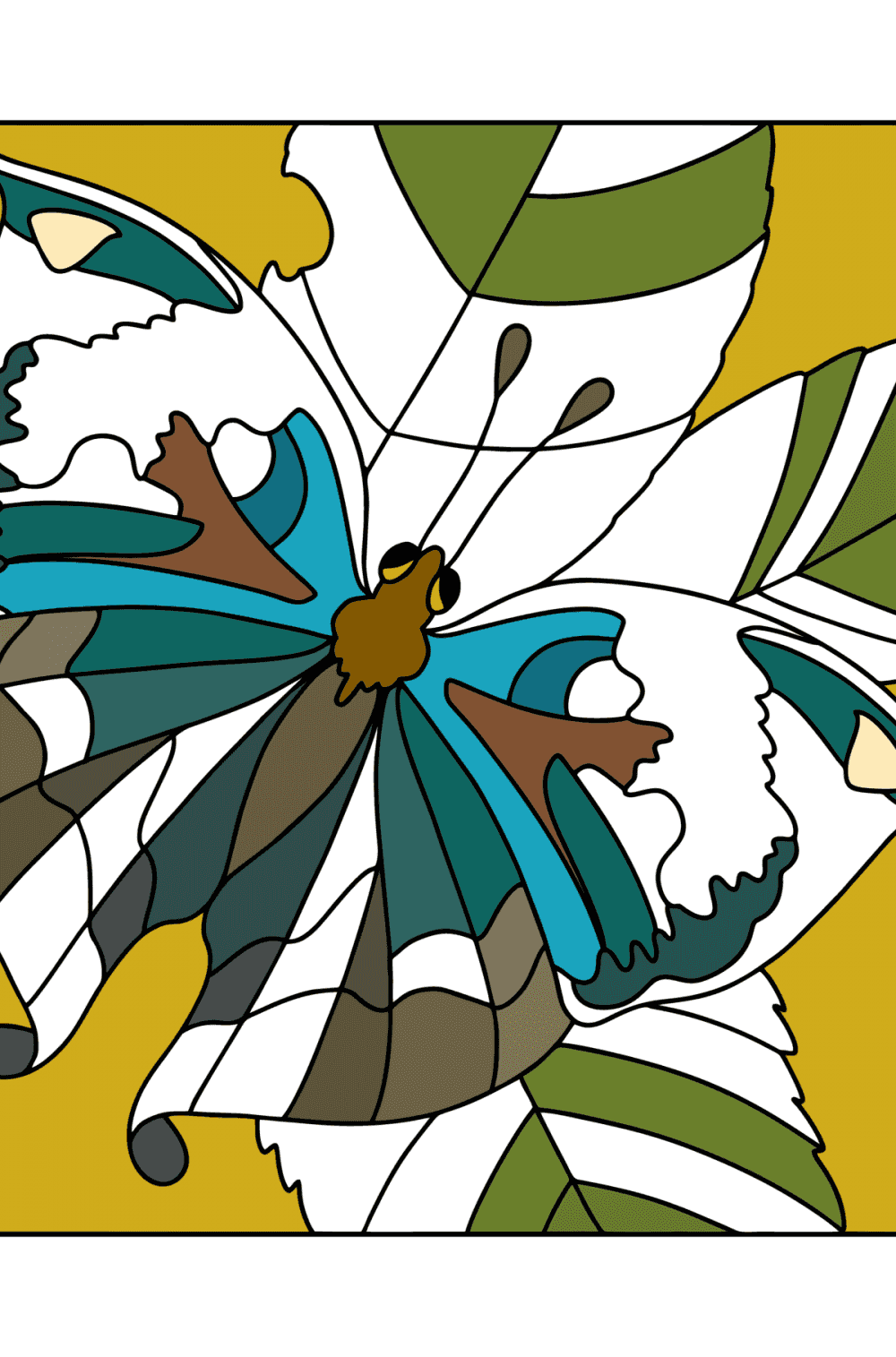 Butterfly With Red Wings Butterflies Coloring Pages For Adults
