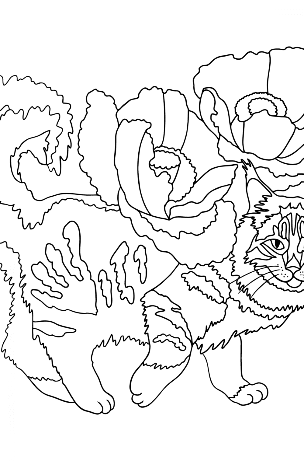Cat Coloring pages for Adults - Print and Online for Free