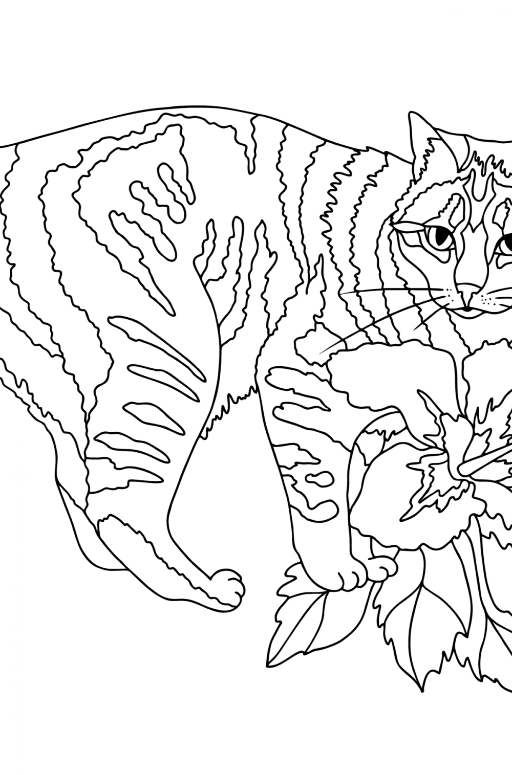 Kedi - Boyama sayfaları ücretsiz | Coloring-for-Adults.com