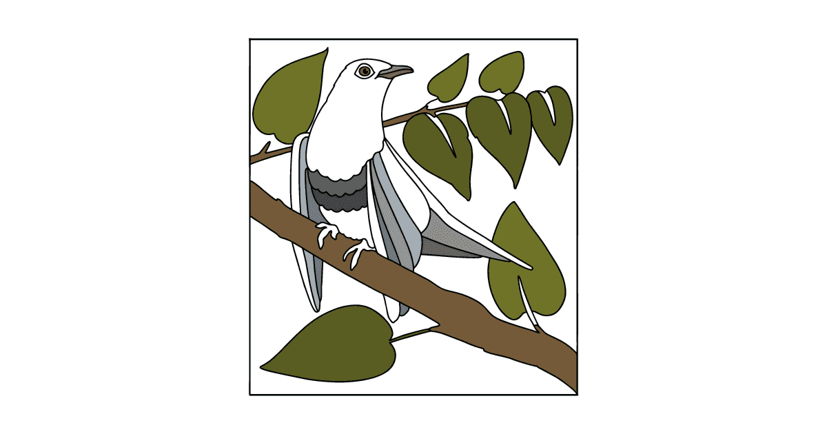 Cuckoo on a tree - Birds Coloring pages for Adults Online and Print
