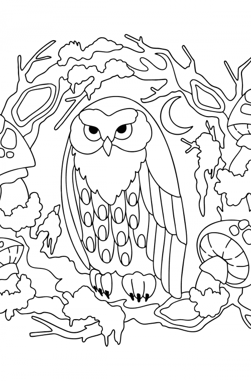 Mandala Owl coloring page | Coloring-for-Adults.com