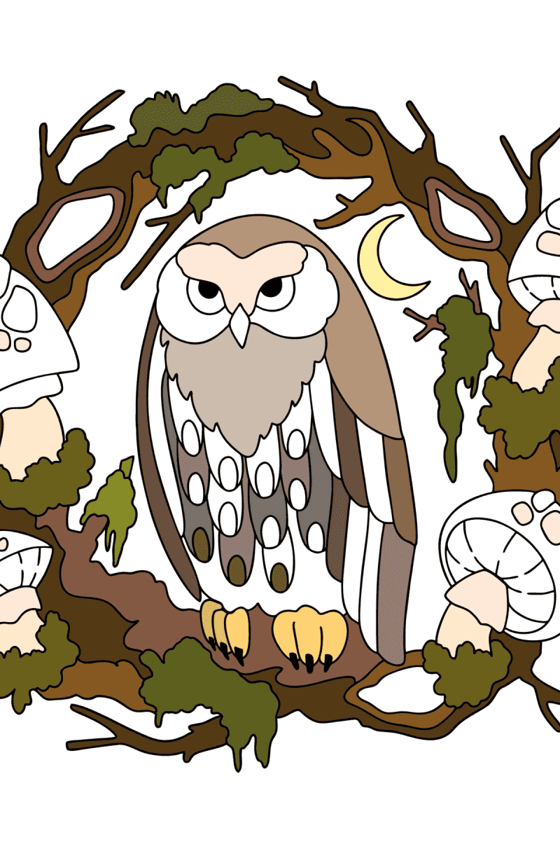 Crow and lantern coloring page | Coloring-for-Adults.com