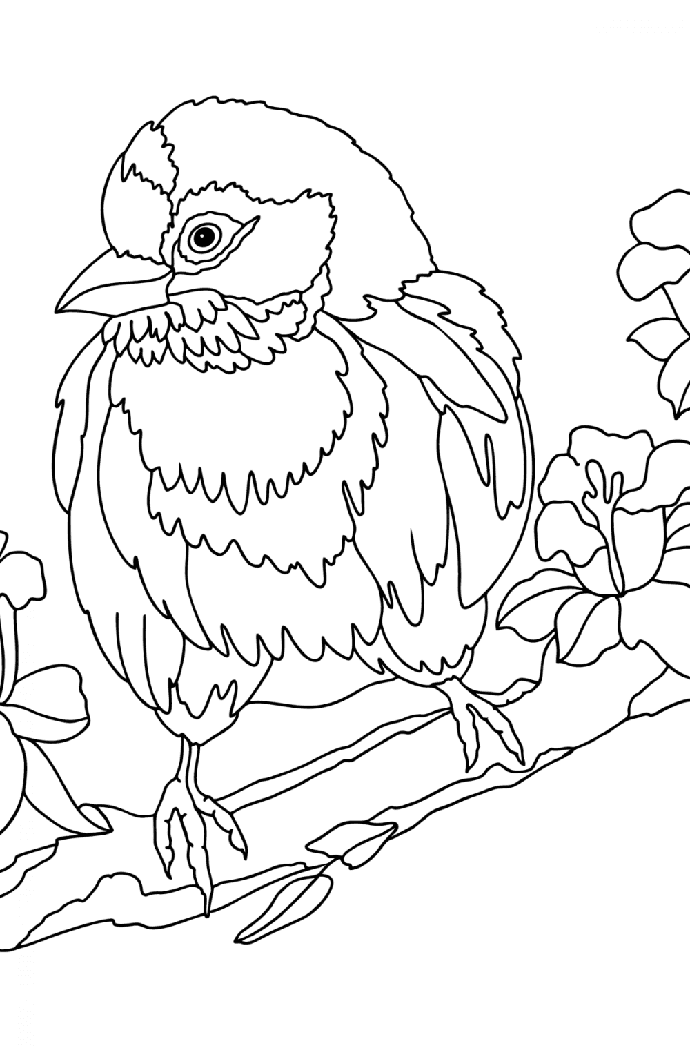 Beautiful bird - Birds Coloring pages for Adults Online and Print