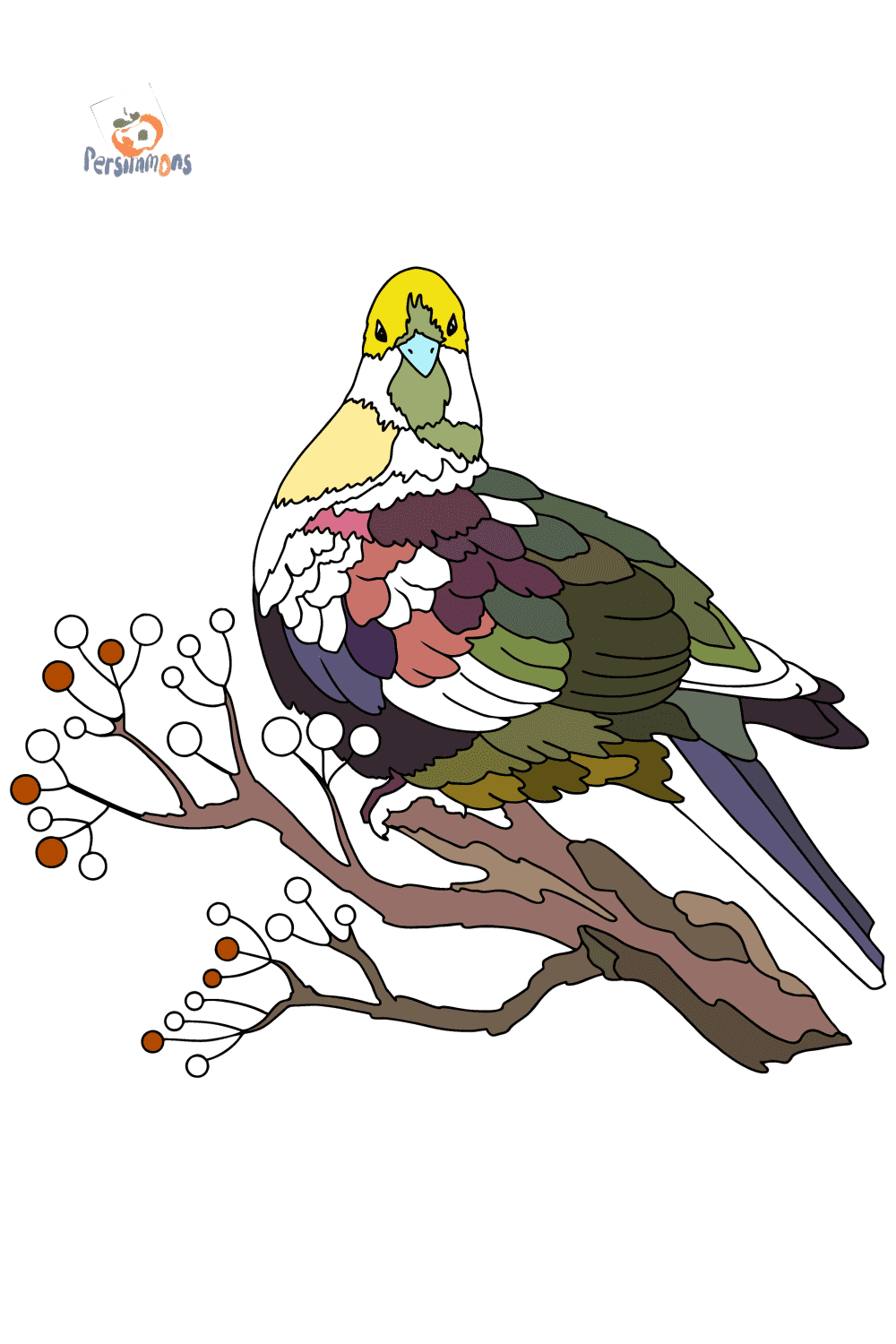 Dove bird - Birds Coloring pages for Adults Online and Print