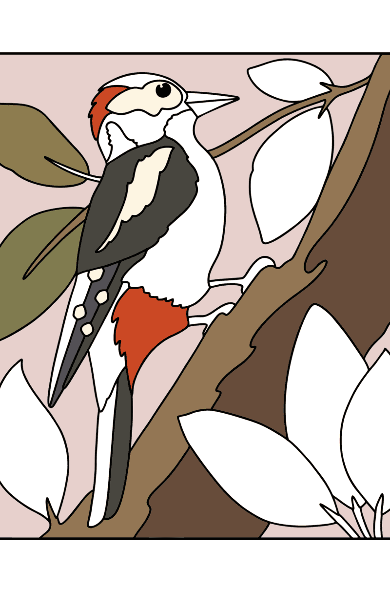 Bird green woodpecker coloring page | Coloring-for-Adults.com