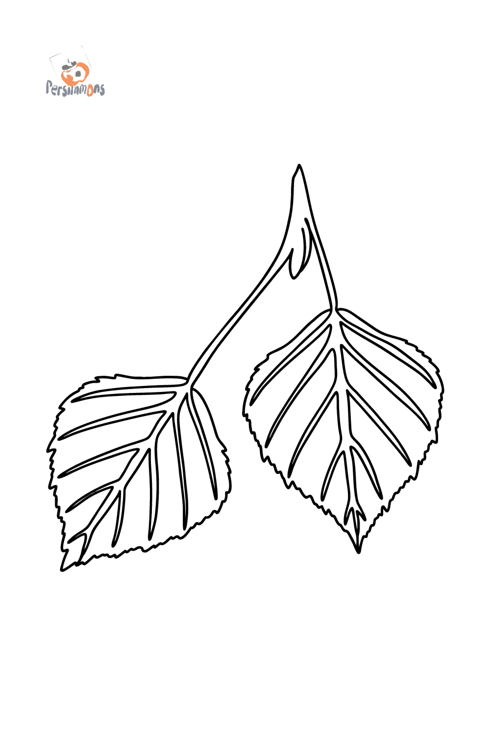 Coloring page Birch leaves for Kids - Play online for Free