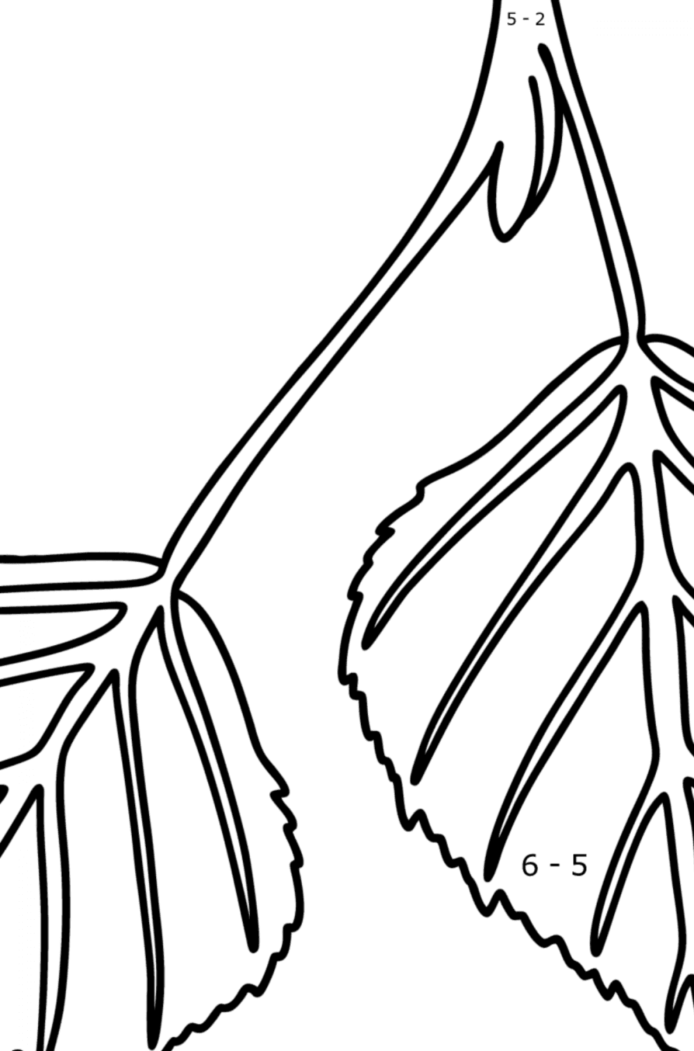 Coloring page Birch leaves for Kids - Play online for Free