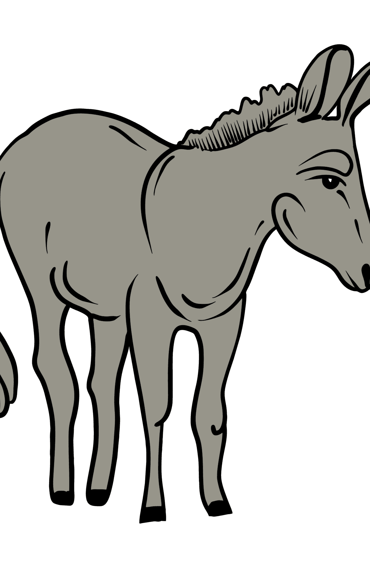 Desen Omida de colorat pentru copii - alegeți și colorați!