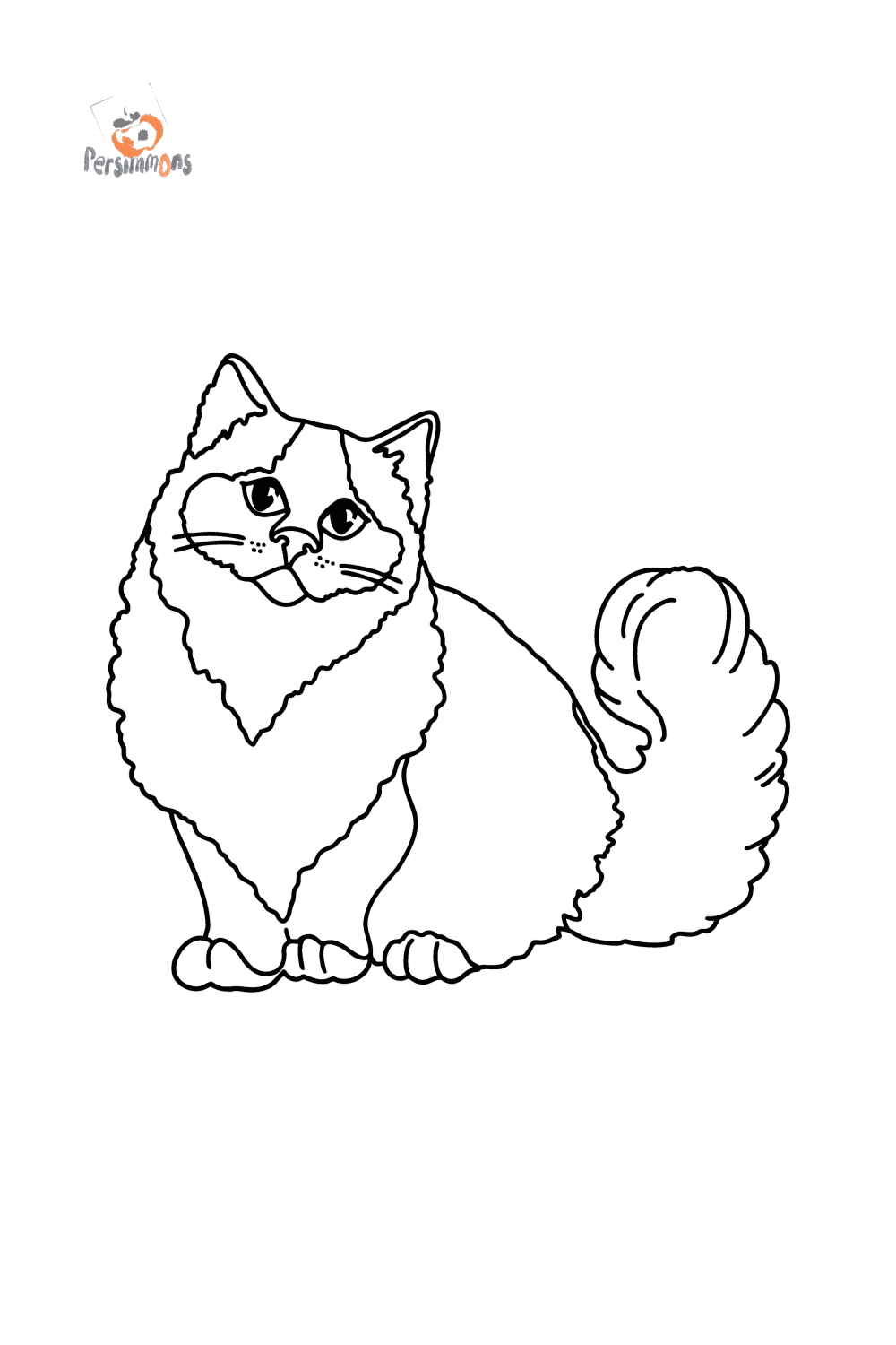 Coloring page Himalayan cat for Kids - Play online for Free