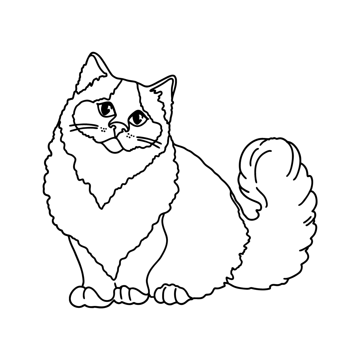 Coloring page Himalayan cat for Kids - Play online for Free