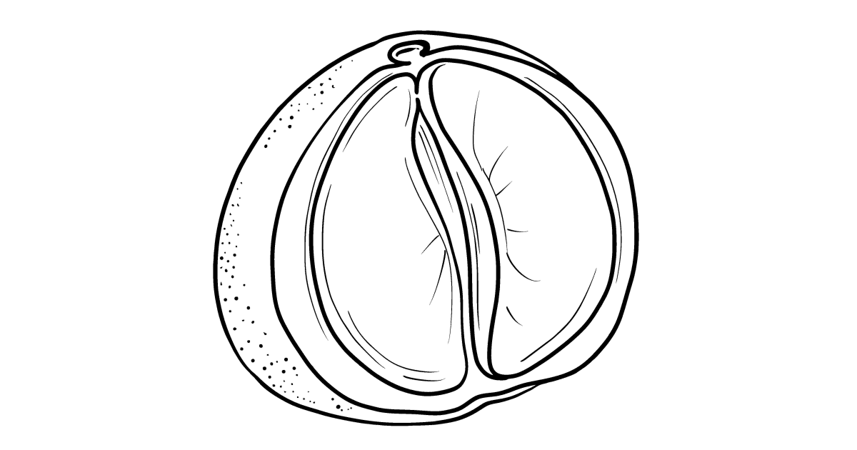 Coloring page Pomelo for Kids - Play online for Free
