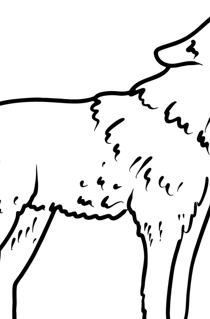 Desen Lup de colorat pentru copii - alegeți și colorați!