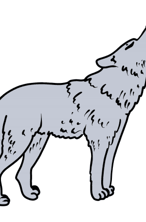 Mewarnai gambar Lobak untuk anak-anak - pilih dan warnai