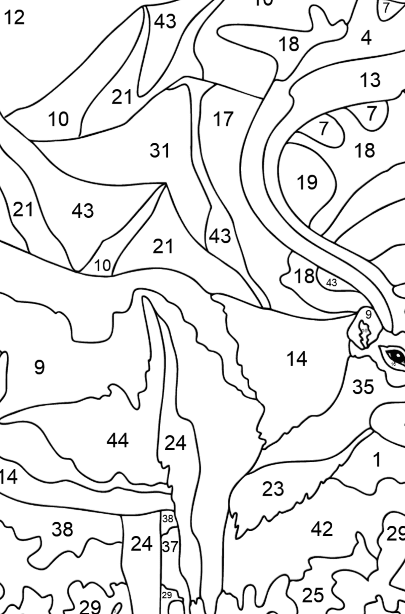 Deer in nature - Deer Coloring Pages for Adults for Free