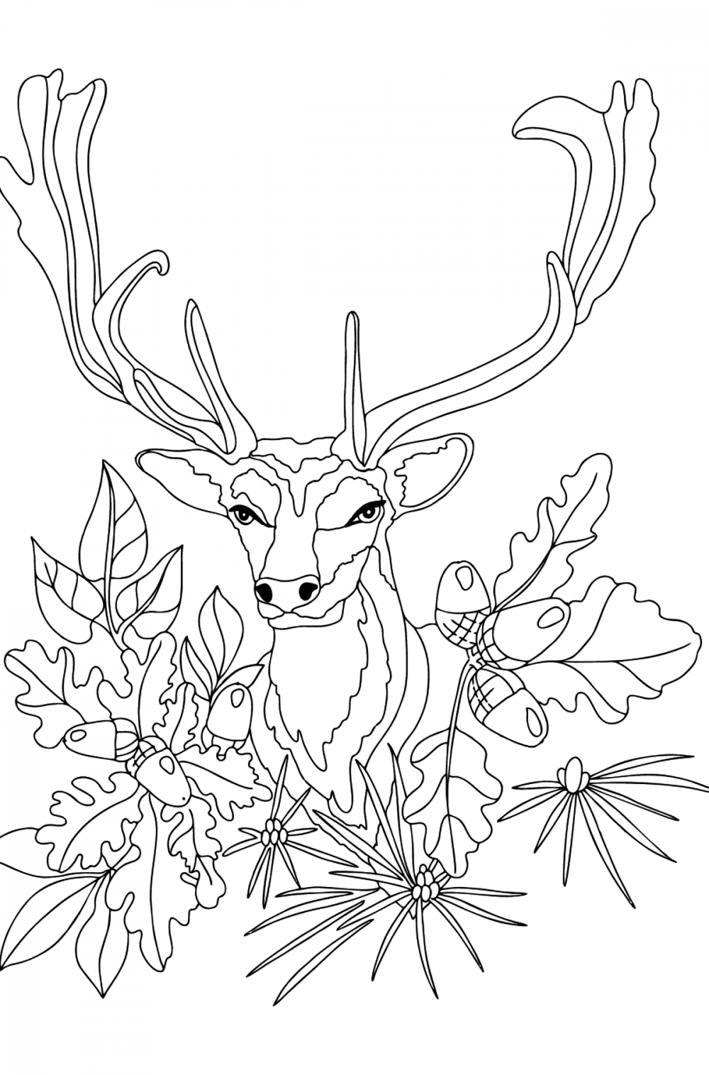 Deer Coloring Pages for Adults ♥ Print and Online for Free!