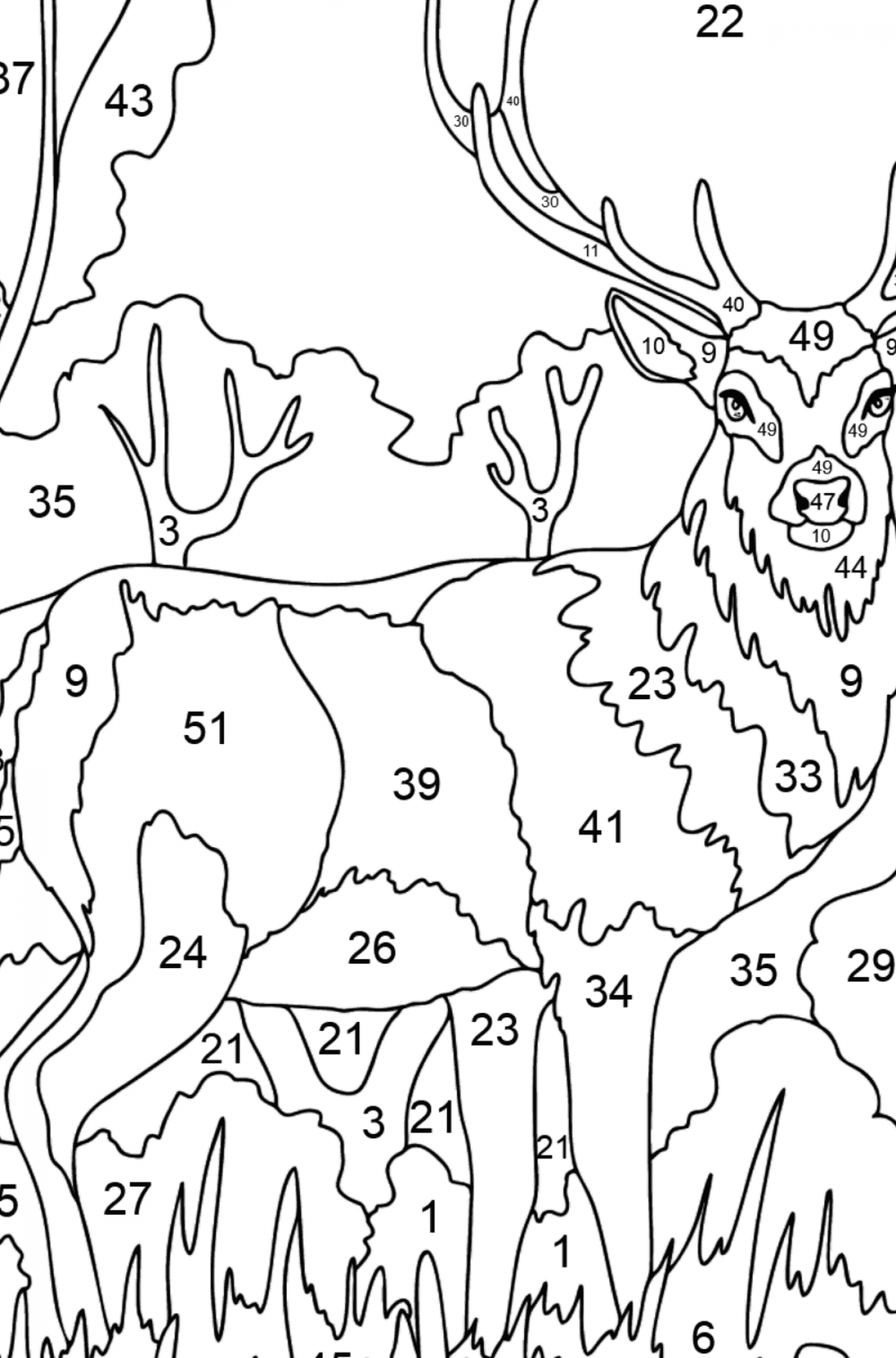 Noble deer - Deer Coloring Pages for Adults for Free