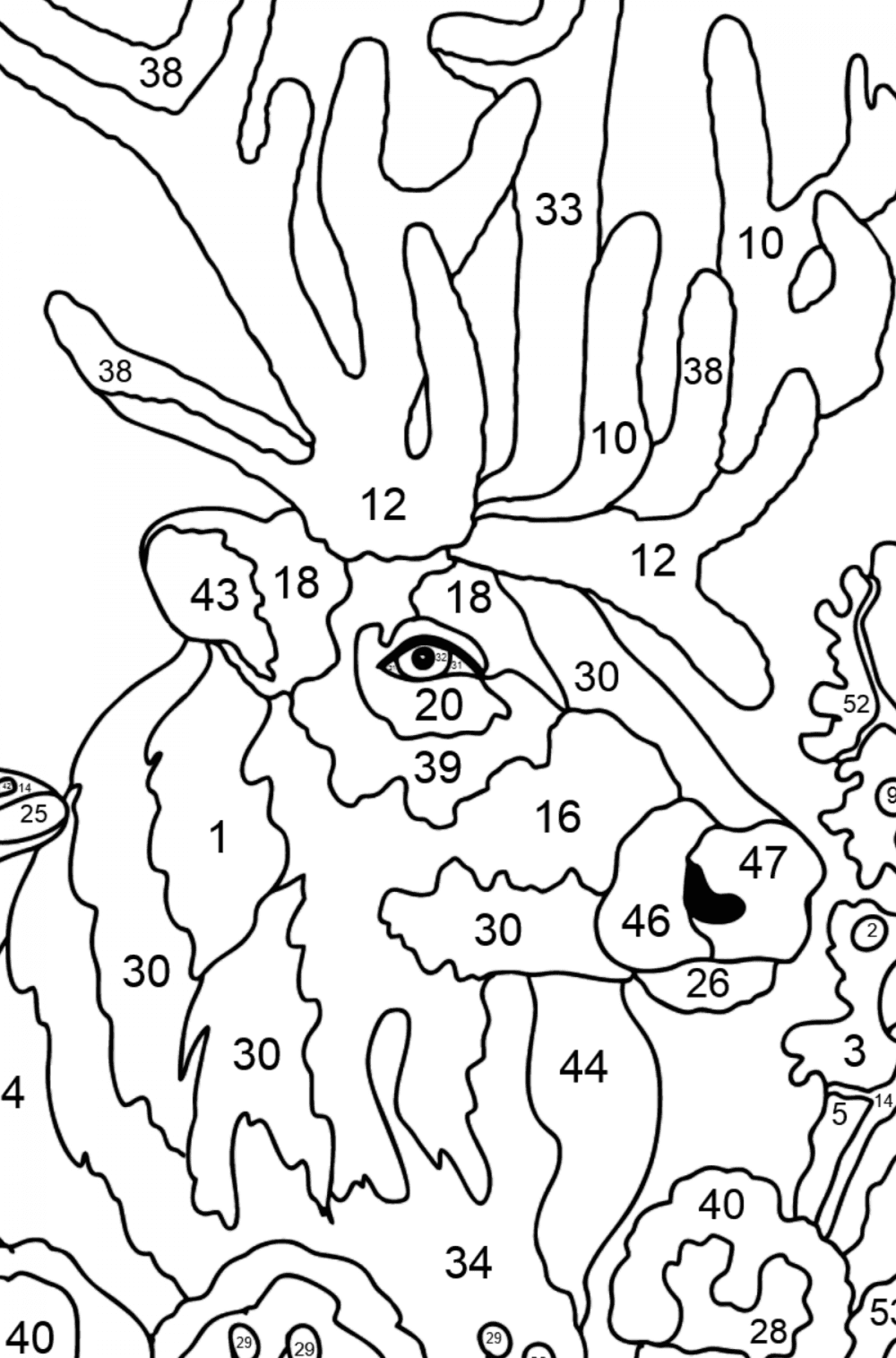 Reindeer - Deer Coloring Pages for Adults for Free!