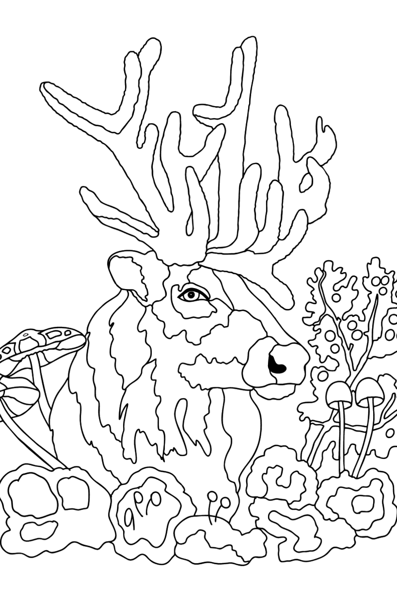 Deer Coloring Pages For Adults ♥ Print And Online For Free