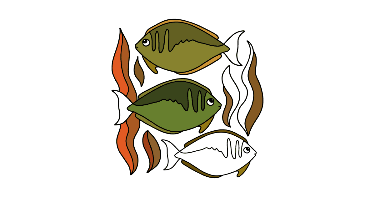 Rhino fish - Fish coloring pages for Adults online and printable
