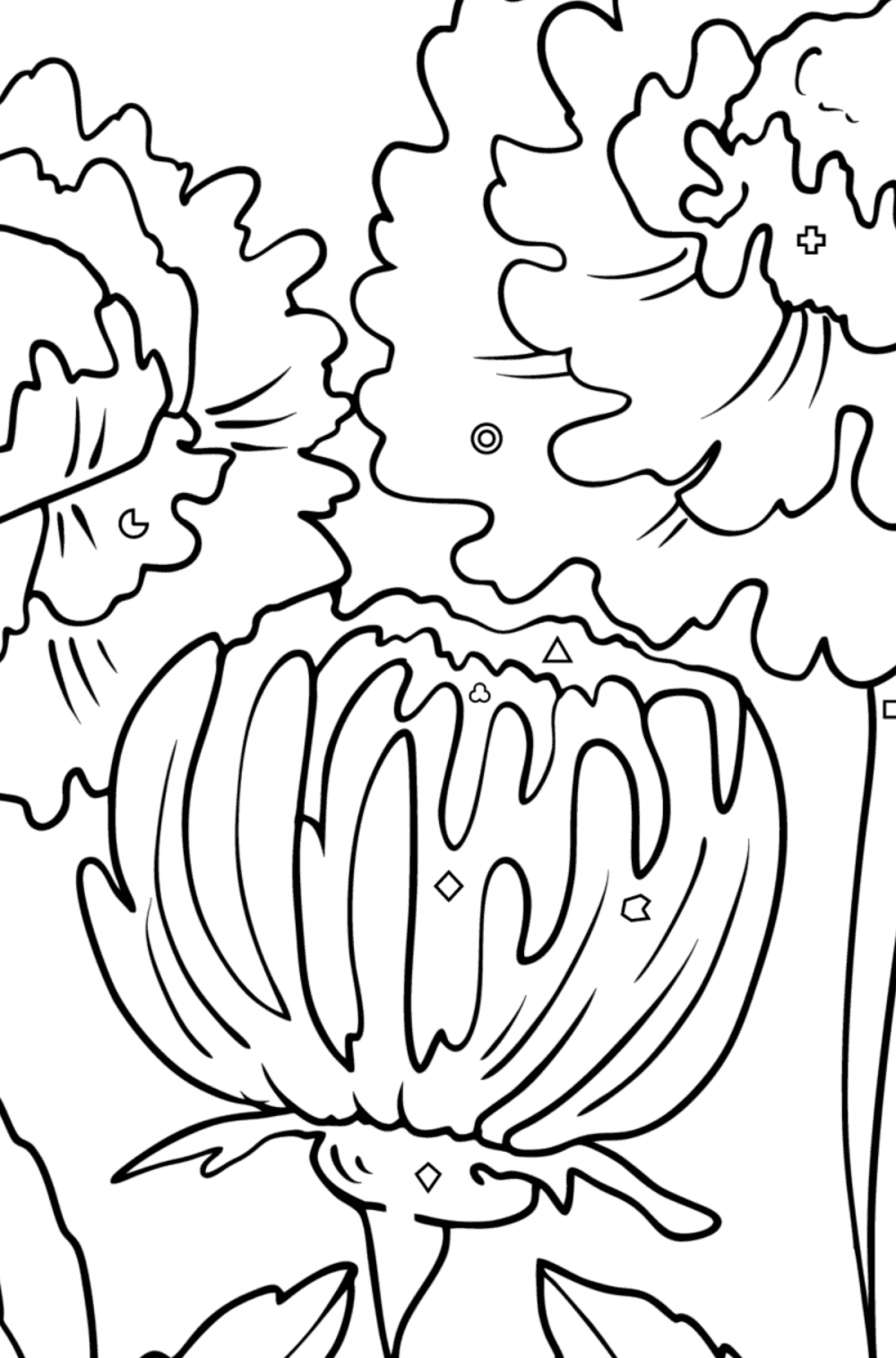 Beautiful Asters - Flowers Coloring Pages for Adults Online