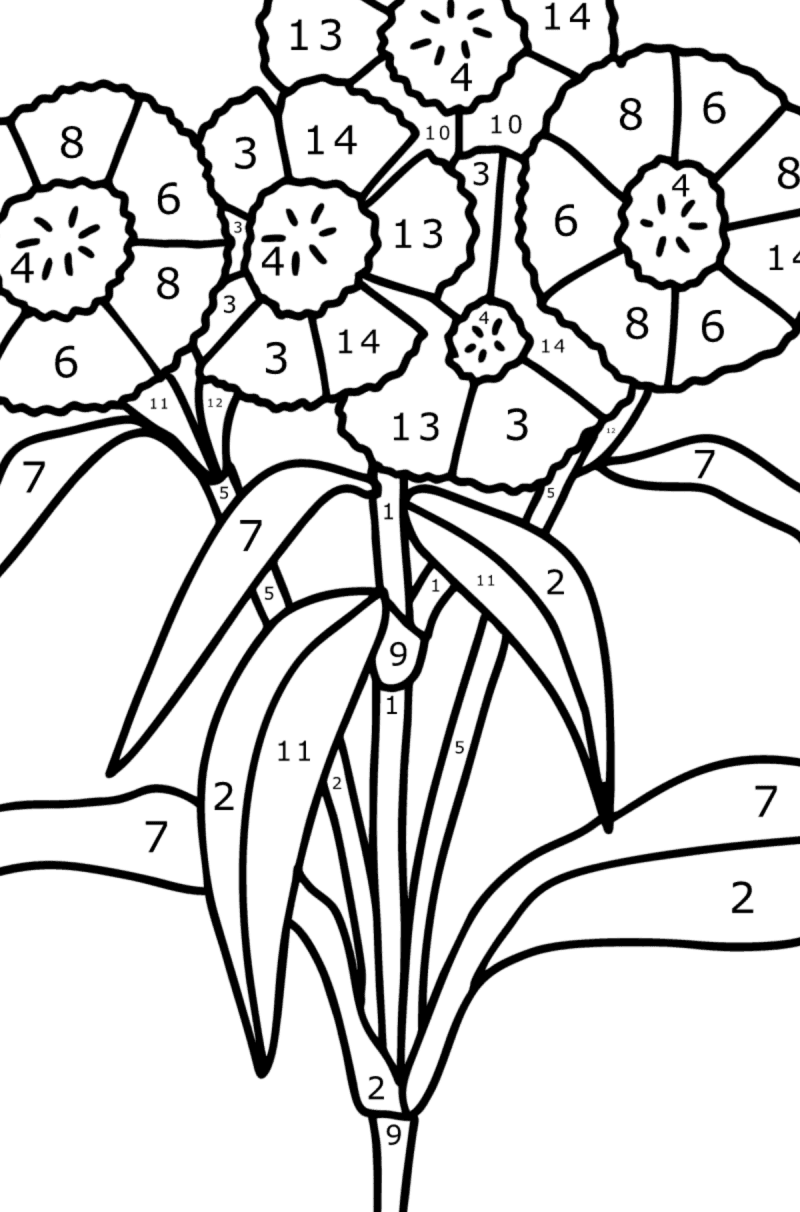 Carnation flower - Flowers Coloring Pages for Adults Online