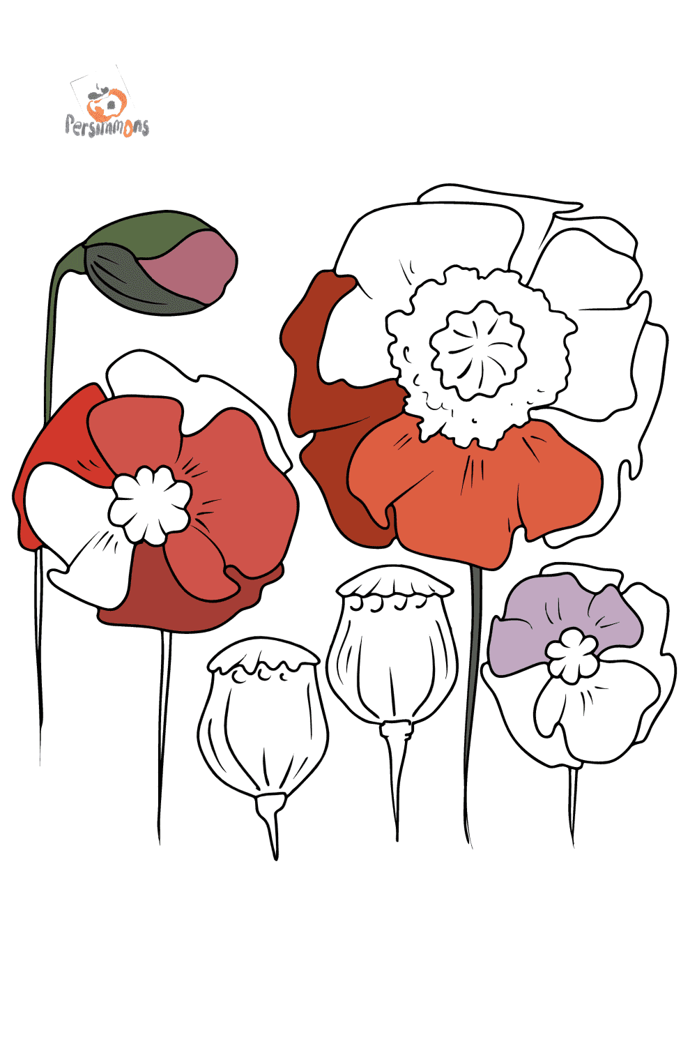 Amapolas de colores - Dibujos para Colorear de Flores para Adultos