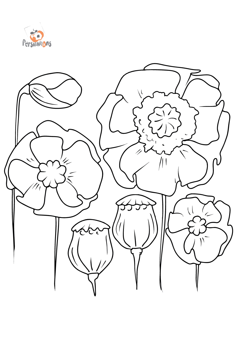 Bunga poppy berwarna-warni - Mewarnai gambar Bunga-bunga