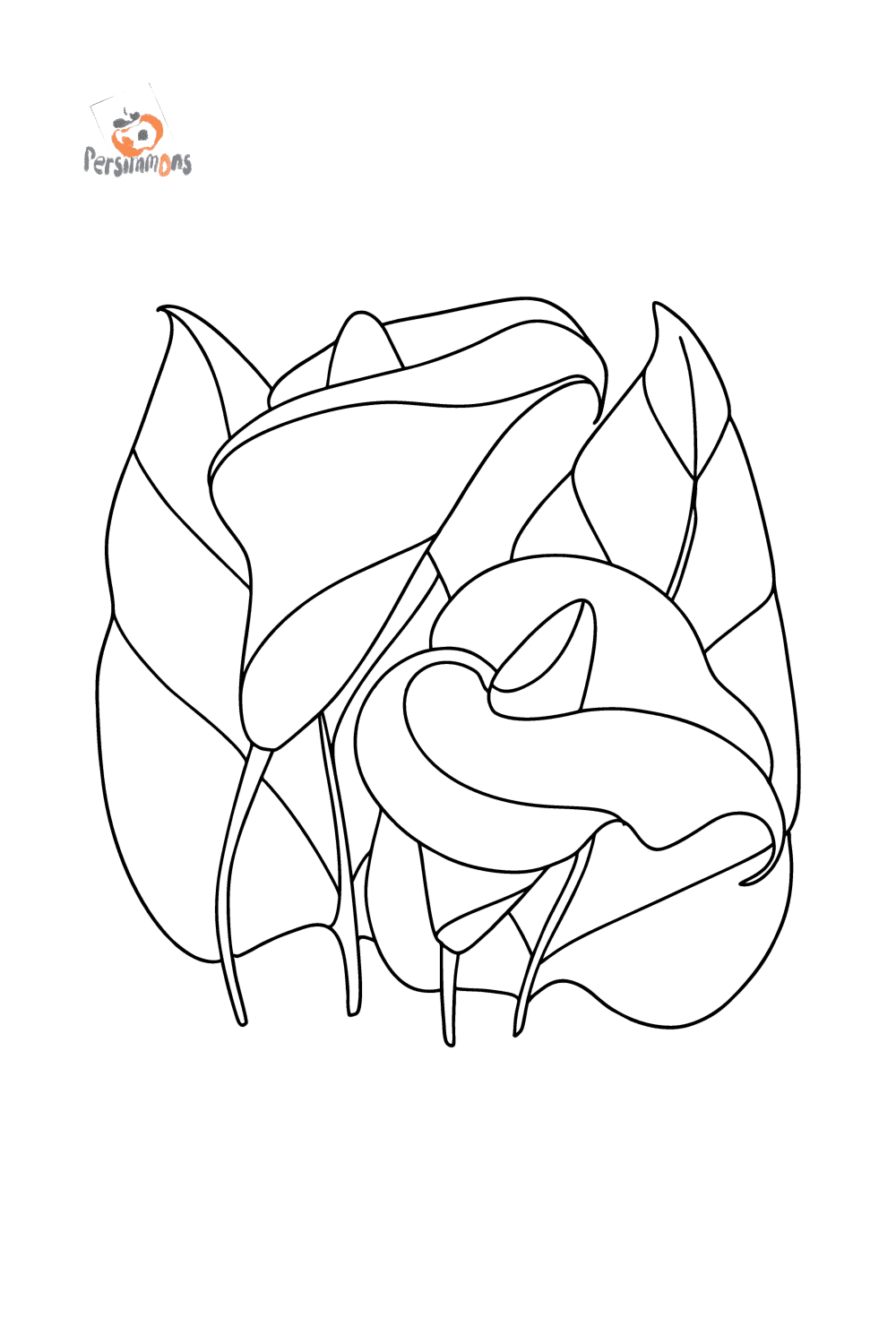 Delicate Calla flowers - Flowers Coloring Pages for Adults Online