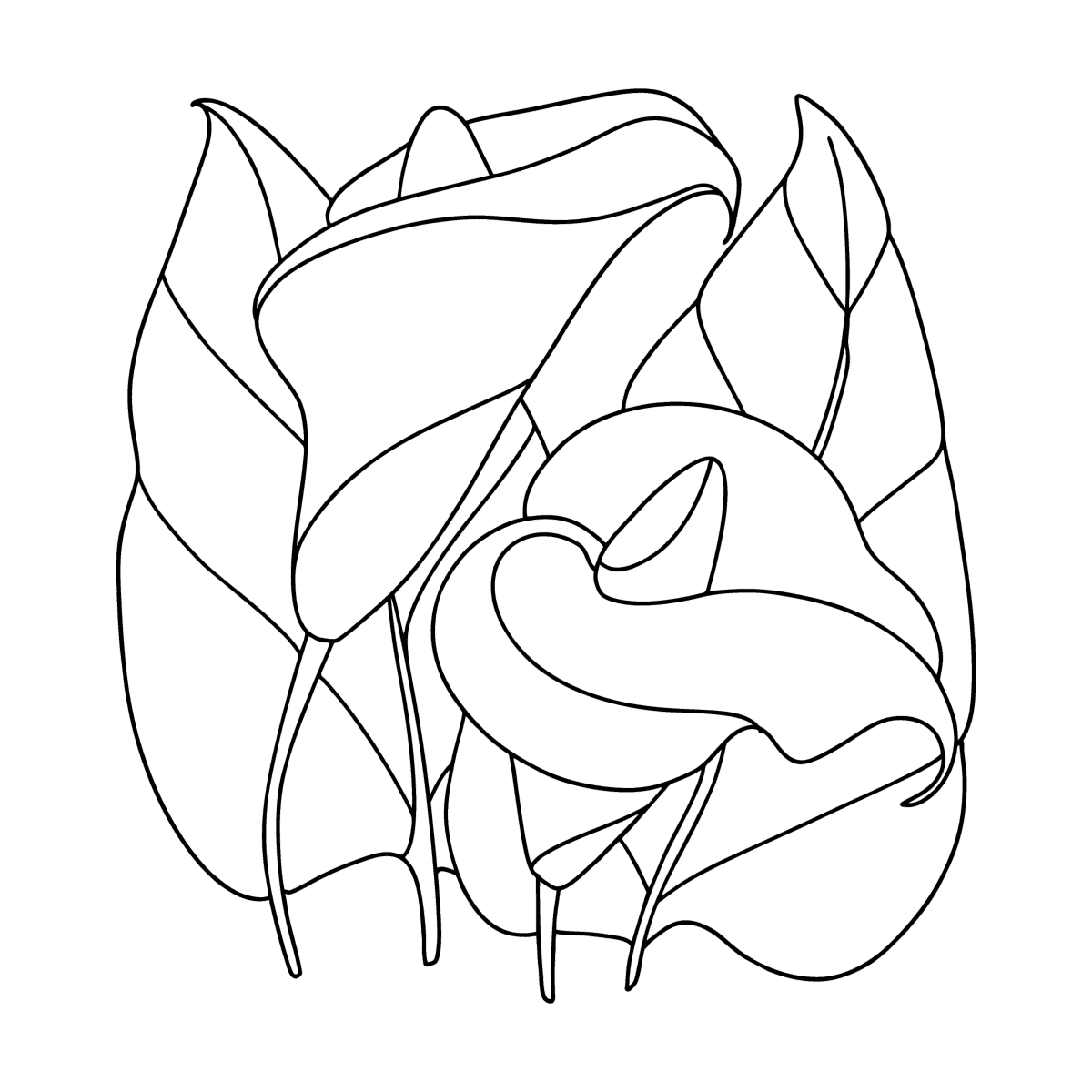 delicate-calla-flowers-flowers-coloring-pages-for-adults-online