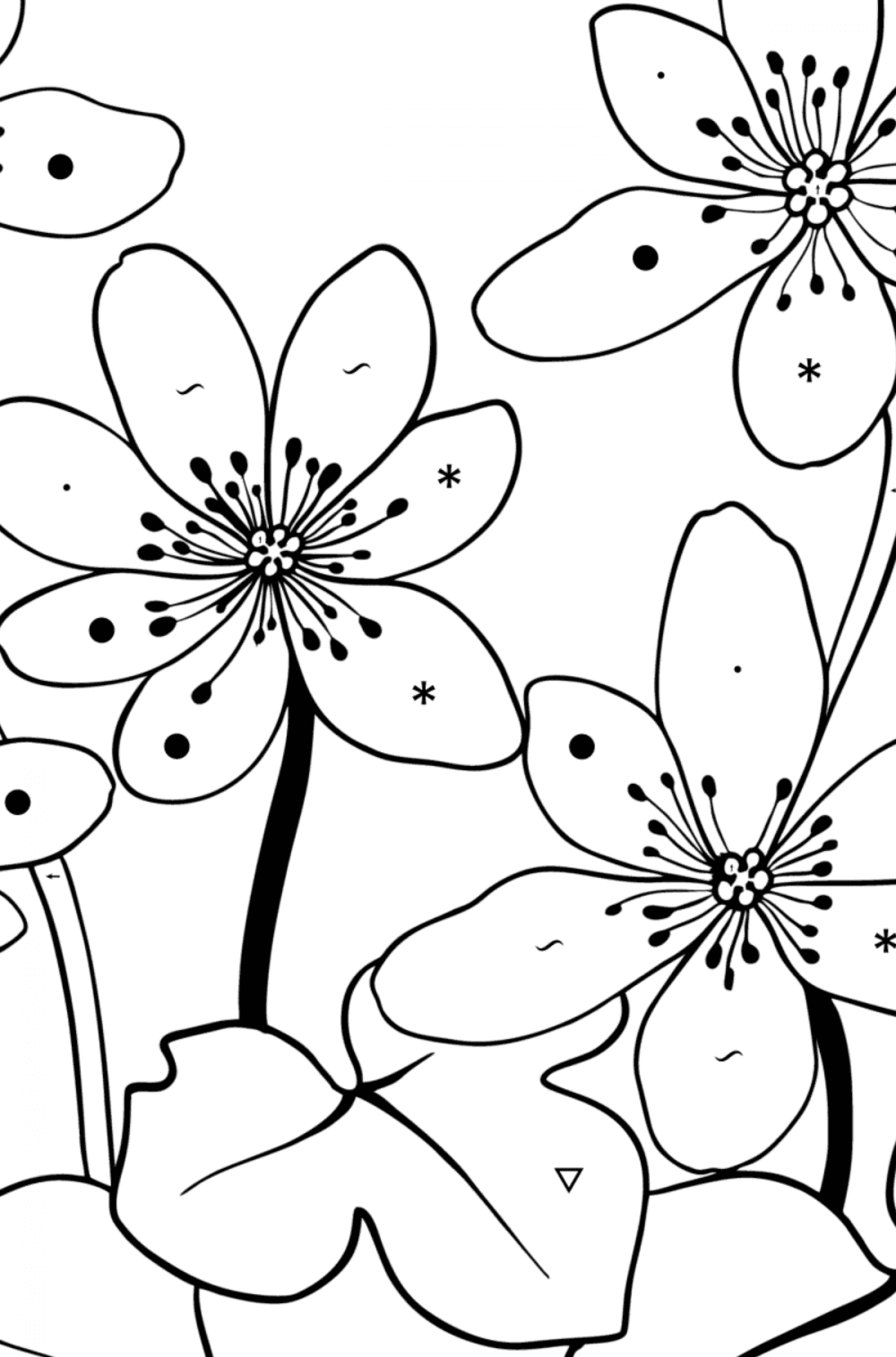 Early spring flowers - Flowers Coloring Pages for Adults Online
