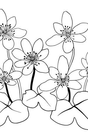 Early spring flowers - Flowers Coloring Pages for Adults Online