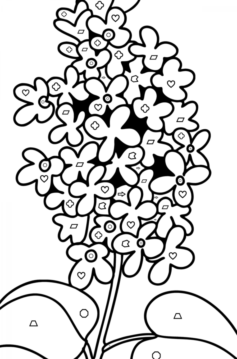 Fragrant lilac - Flowers Coloring Pages for Adults Online