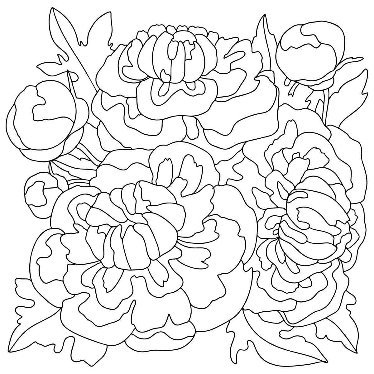 Peonies - Flowers Coloring Pages for Adults Online & Print