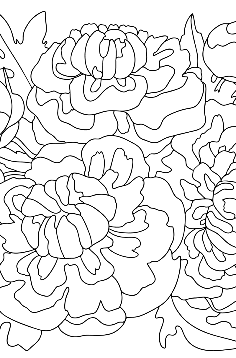 People coloring pages for Adults ♥ Online, and Print for Free!