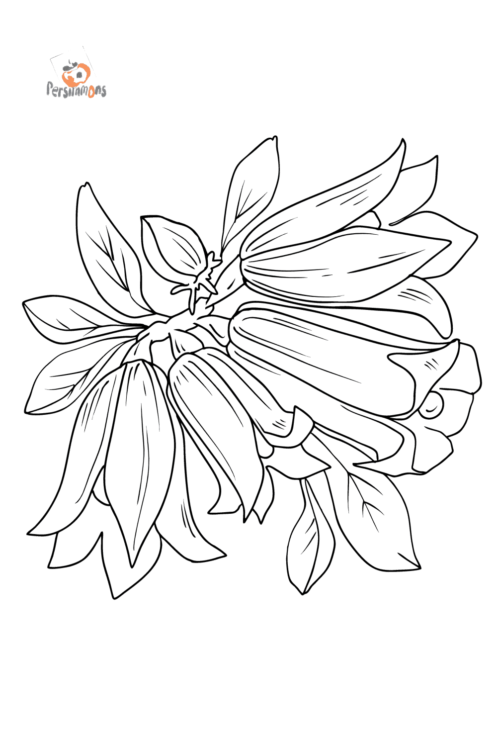 Pink flowers bluebells - Flowers Coloring Pages for Adults Online