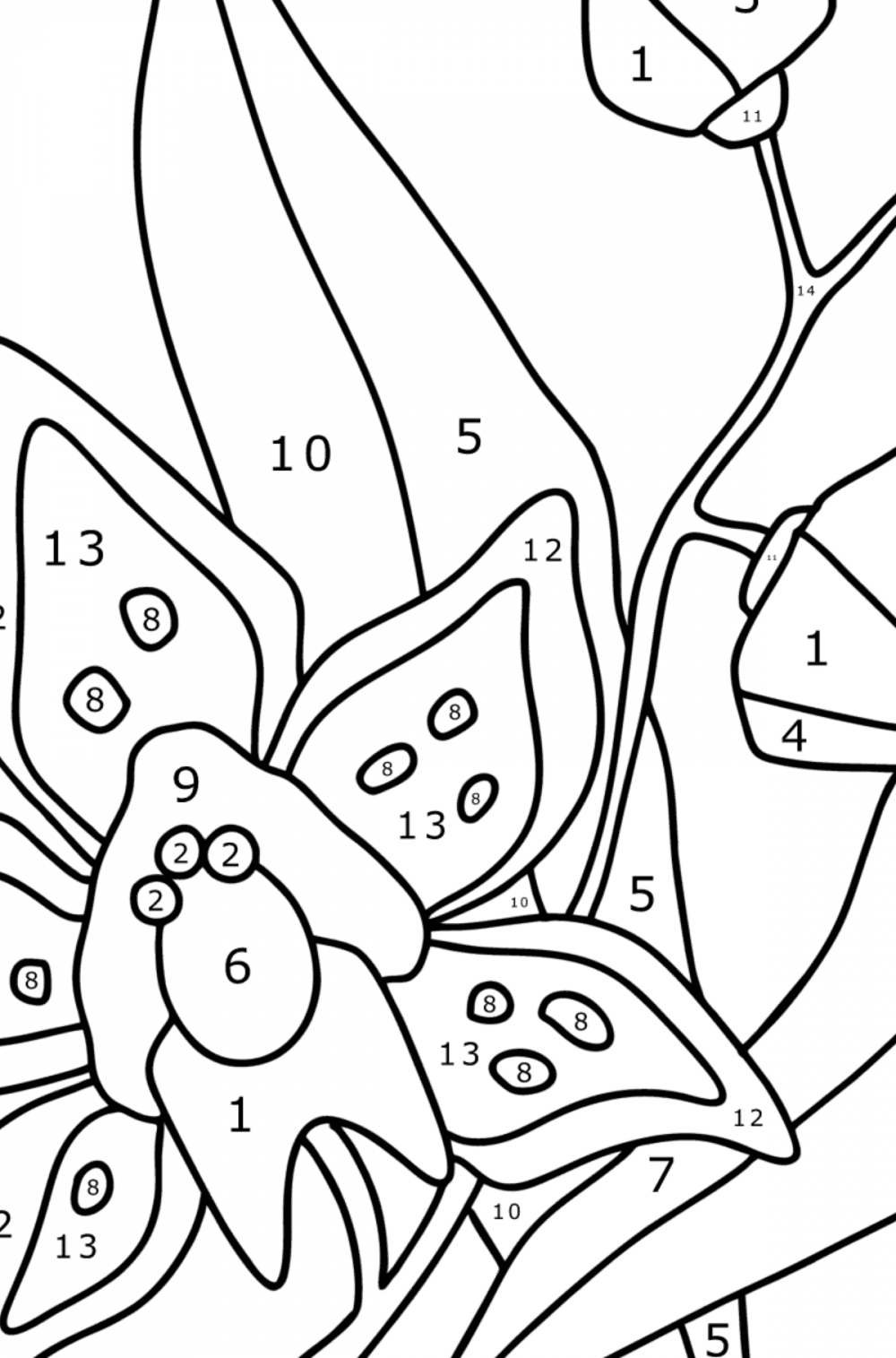 Pink orchid - Flowers Coloring Pages for Adults Online