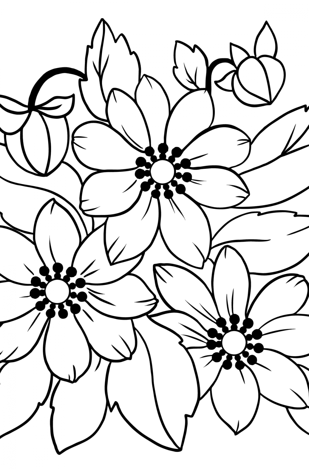 Printable coloring pages for Adults - Print, and Color for Free!