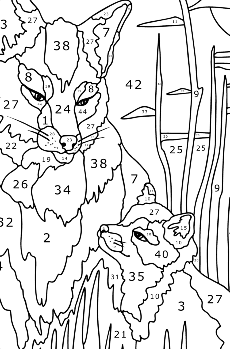 Fox and fox - Foxes coloring pages for Adults online and printable