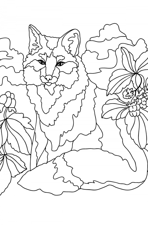 Vacker räv - Målarbilder Rävar för vuxna online och skriv ut