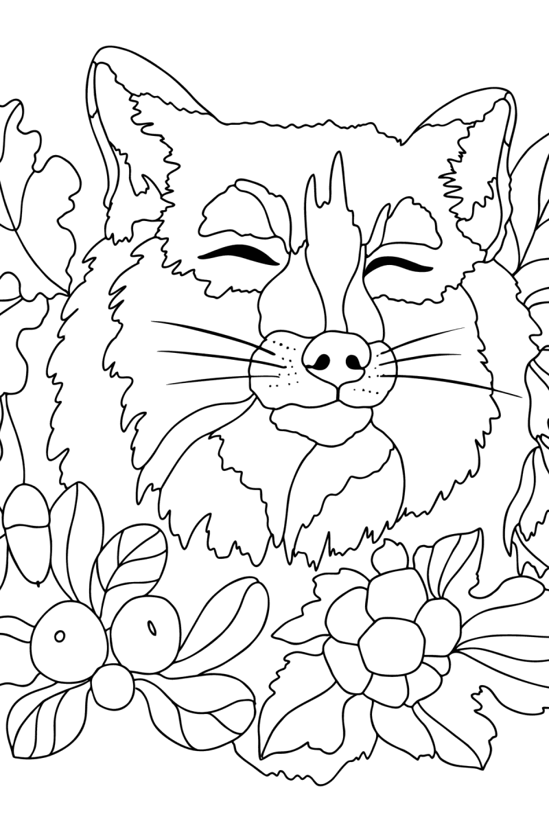 Foxes coloring pages for Adults - Online or Printable