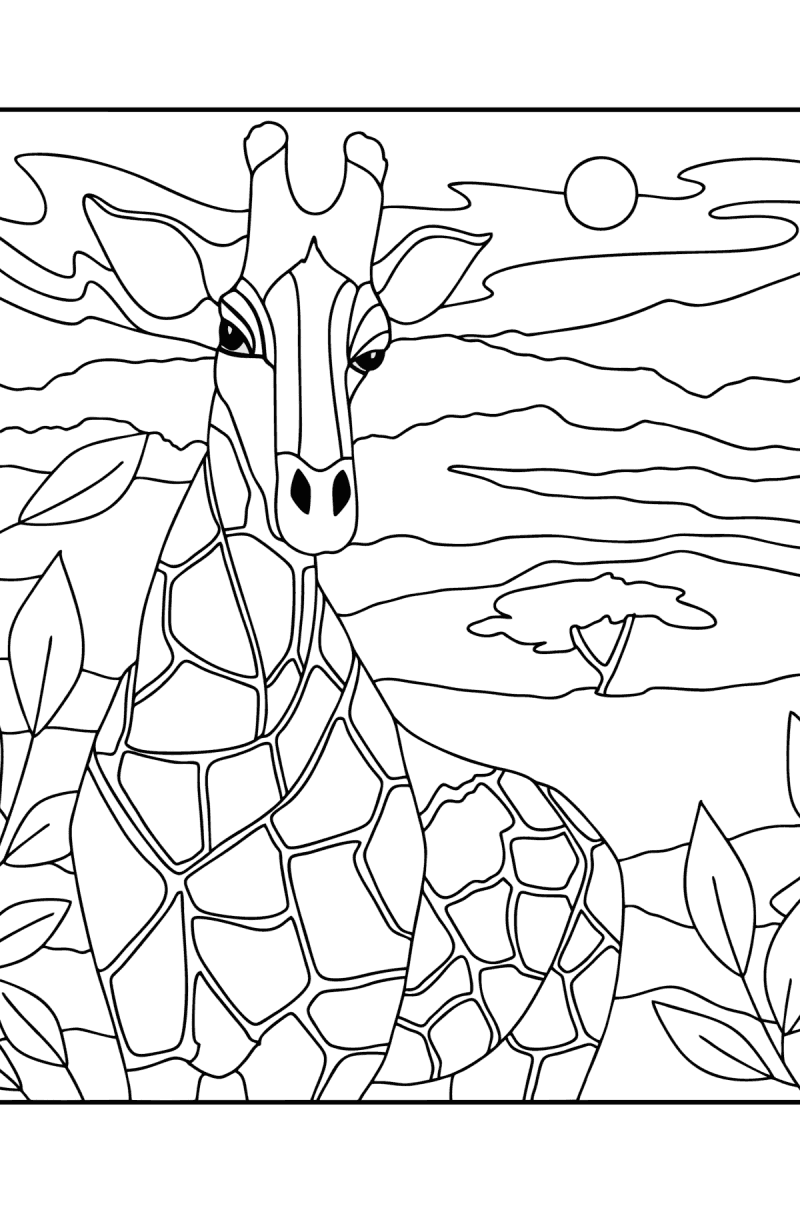 Giraffes coloring pages for Adults - Online or Printable