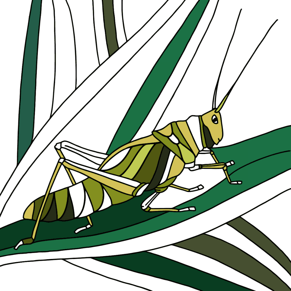 Fashion and trends coloring pages for Adults - Online or Printable