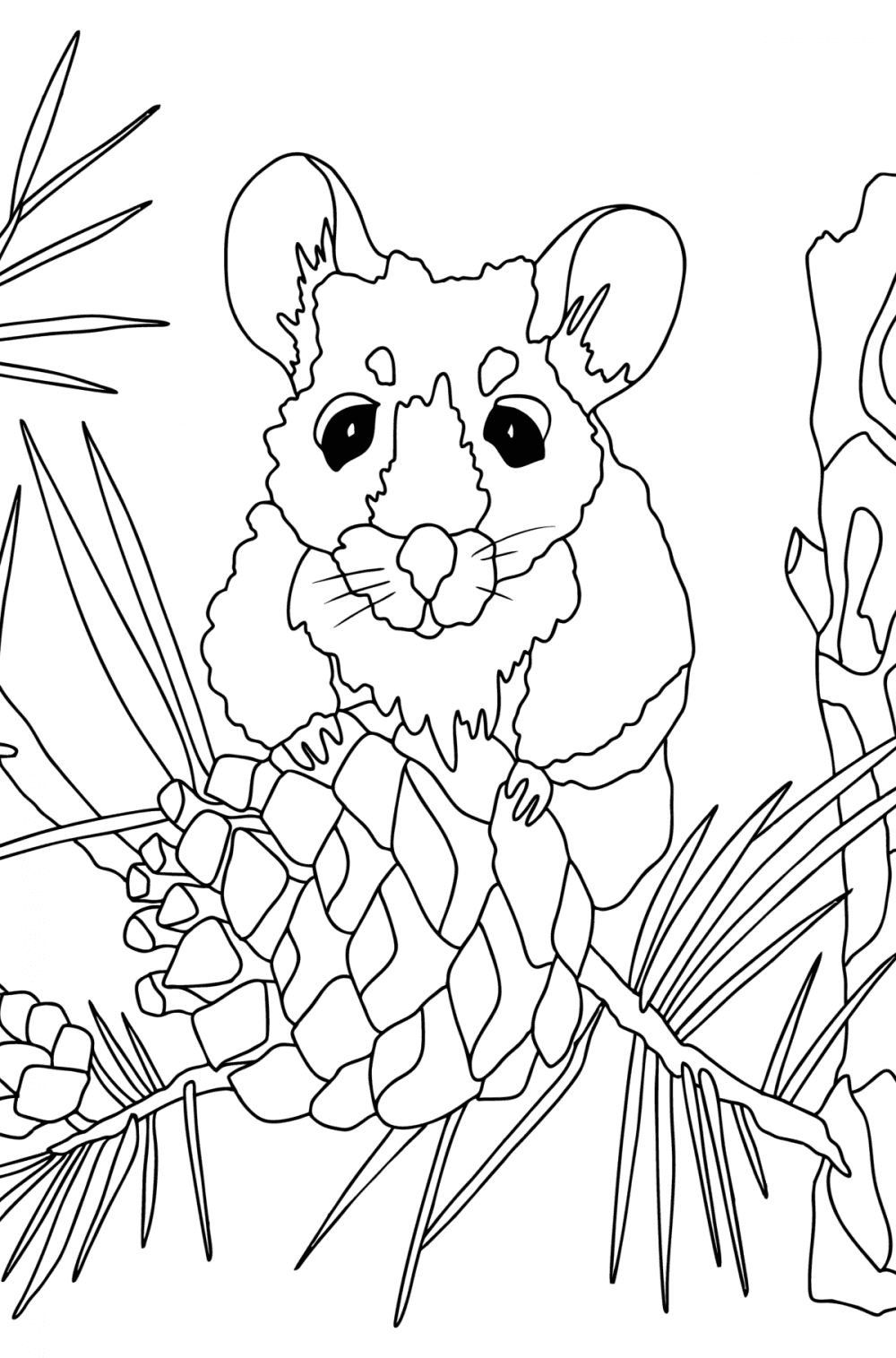 Mice coloring pages for Adults - Online or Printable