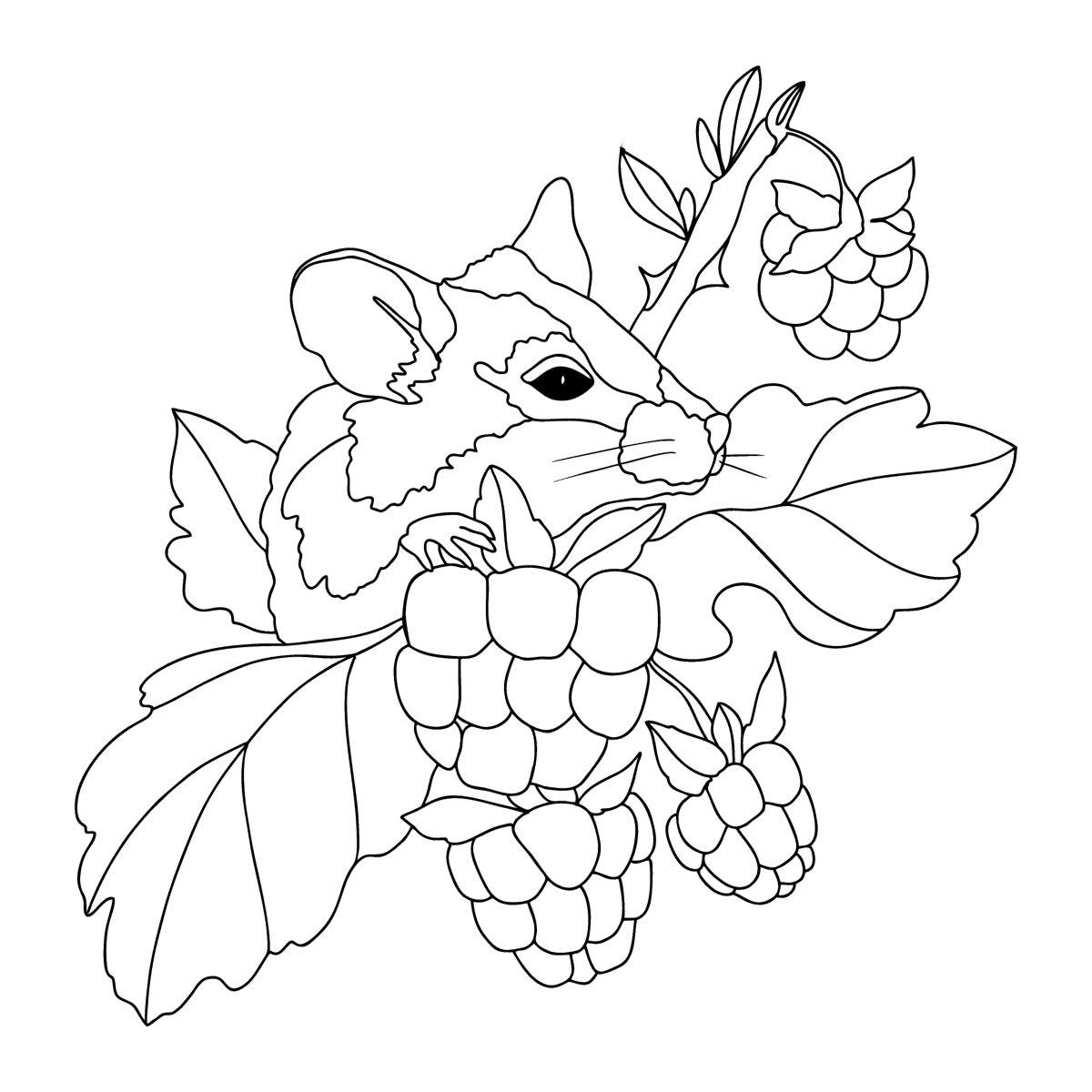 Charming little mouse - Mice coloring pages for Adults online