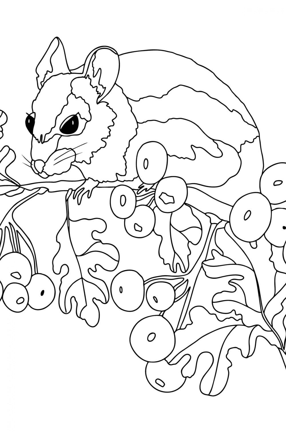 Mice coloring pages for Adults - Online or Printable