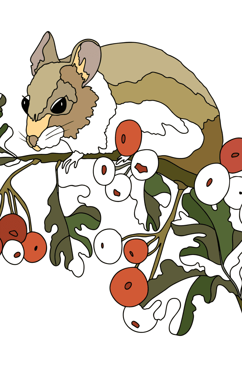 Soarece mic - Desene de colorat Șoareci pentru adulti online