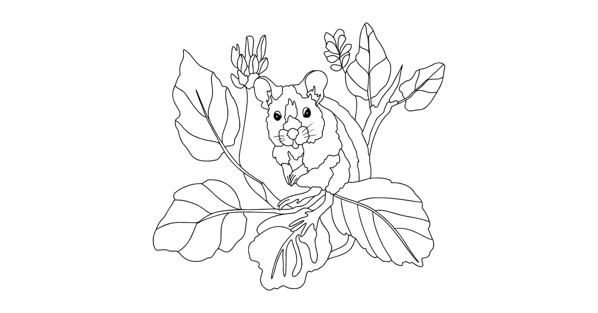Frightened mouse - Mice coloring pages for Adults online