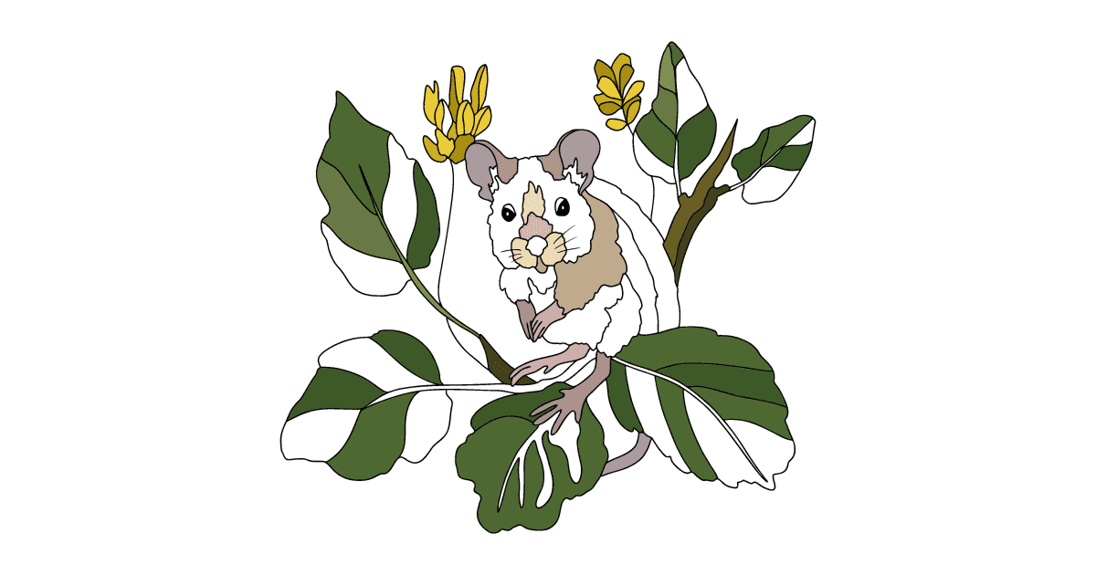 Frightened mouse - Mice coloring pages for Adults online