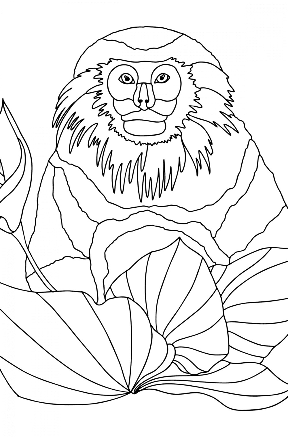 Monkey coloring pages for Adults - Online or Printable